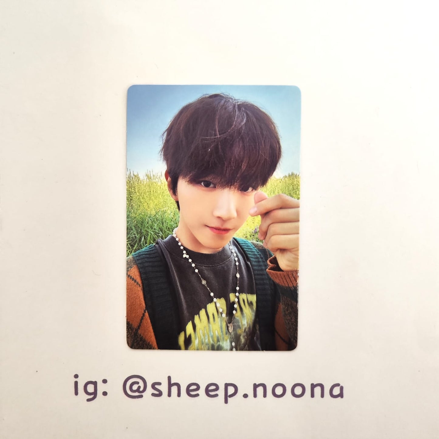 Photocards Wonhak Boynextdoor – Sheep Noona